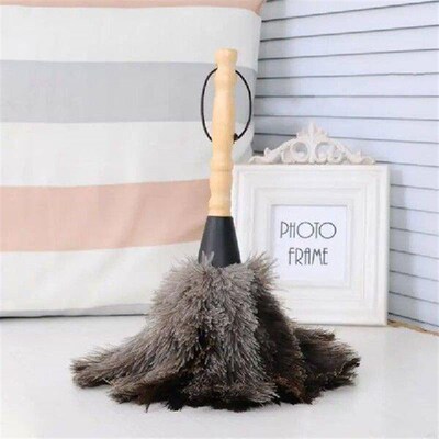P82C Reusable Natural Ostrich Duster with Wooden Handle for