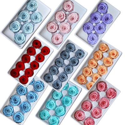 Free very Of Preserved Flower Material Wholesale 8 Pieces A