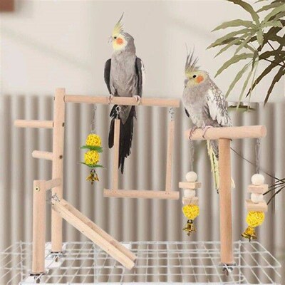 Parrot Bird Playground Parakeet Play Stand Cage Accessories