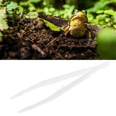 Feeding Tweezers Noctilucence Feeder Clip for Amphibians