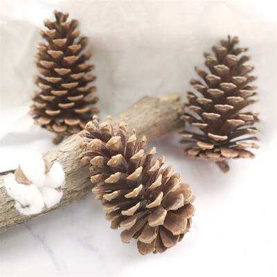 4pcs 10-14cm big size naturally pine cones for Christmas dec