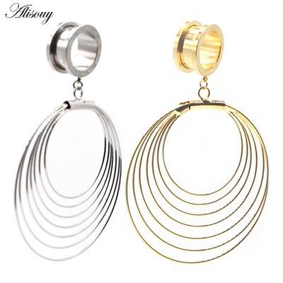 Alisouy 2pcs 6-25MM Stainless Steel Ear Plugs and Tunnels Da