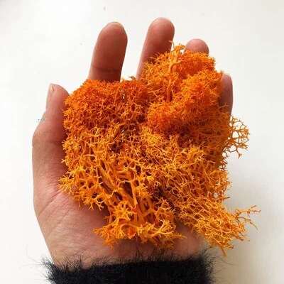 30G Lichen Moss cluster for bushes,model trees foliage scale