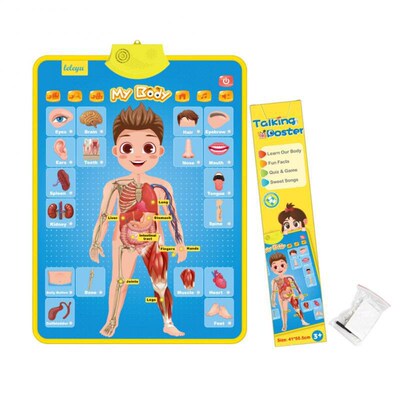 Learning English Wall Chart Early Education Pvc Educational