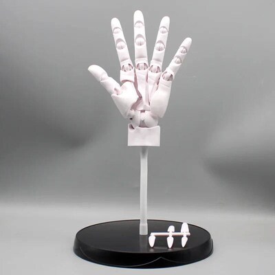 37cm Human Hand Model With Movable Finger Joints  Simulation