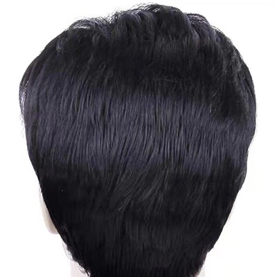 Hot Sale Partial Slant Bangs Short Hair Mens Wig Chemical F