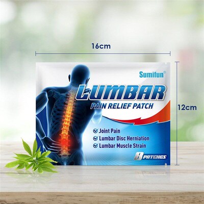 bags Lumbar Spine Pain Cervical Shoulder Joint Back Pain