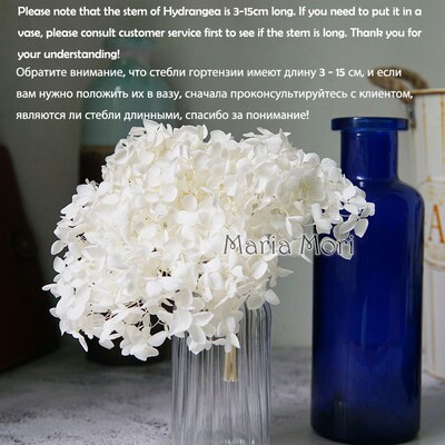 Colorful Preserved Hydrangea Home Decoration Wedding Decorat