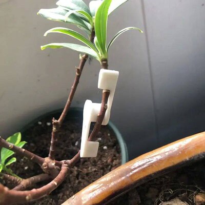 10-50Pcs Plant Branches Bender Training Clips 360 Adjustab