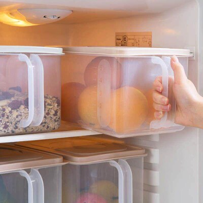 .plastic storage box with lid refrigerator fruit box househo