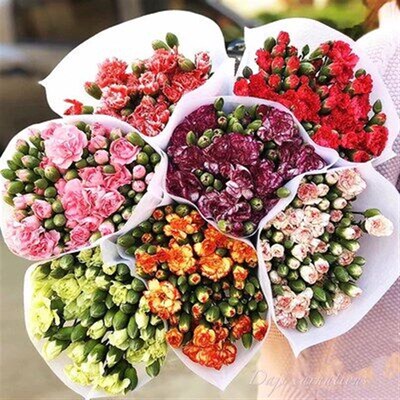 On September 11, one thousand acres of flowers single