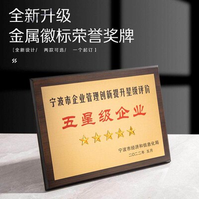 Customized Government Award 3A Corporate Honor Plate