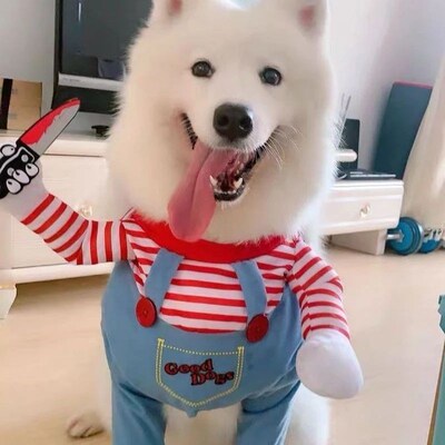 Dog Cat Pet Funny Costume Chucky Deadly Doll Cosplay Party F