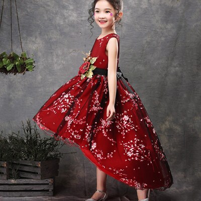 Baby Girls Flower Princess Ball Gown Party Tutu Trailing Dre