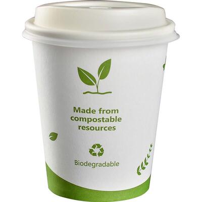 Compostable PLA s Disposable Paper s Biodegrade Water Coffee