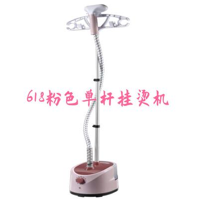electric compact iron steam soleplate clothes steamer 熨斗