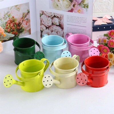 New Metal Watering Can Garden Flower Kettle Mini Small Water