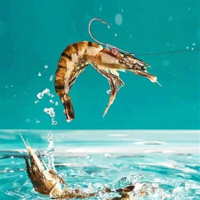 10Pcs Live Shrimp Bait Hooks High Carbon Steel Fishhook