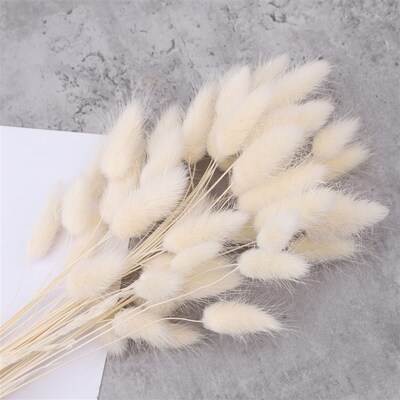60Pcs Mix Lagurus Bunny Tails Pampas Grass Decor Home Cake D
