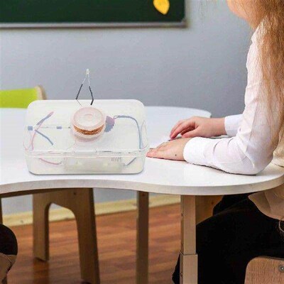 Electrifying Classroom Physics Kit with Handy Storage