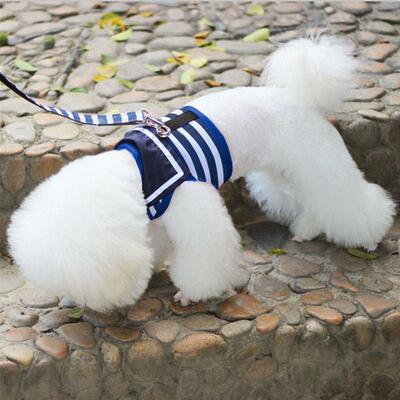 。Pet chest strap traction rope dog chain Teddy small dog wa
