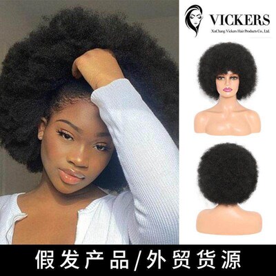 Alice  Afro Kinky Curly Hair Wigs With Bangs Synthetic Hair