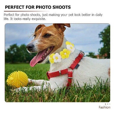 Chewers Pet Collar Kitten Collars Neck Chain for Skin
