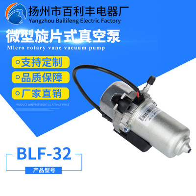 功率大抽气速率快 旋片泵BLF-32 化工器械真空泵