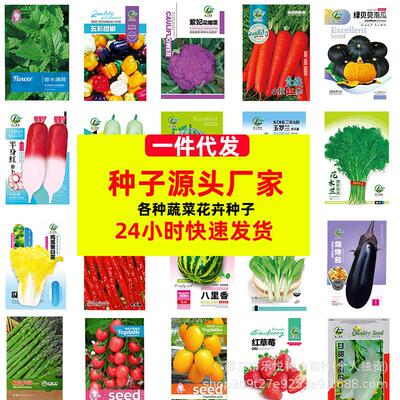 Four Seasons Spring/Summer Vegetable Seeds Melon and Fruit