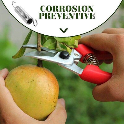 Stainless Steel Spring Pruners/spring Accessories Pruning