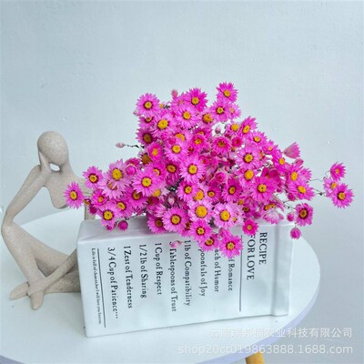 Rodens Ruden Bird Dried Flower Ornament Preserved Flower Bou