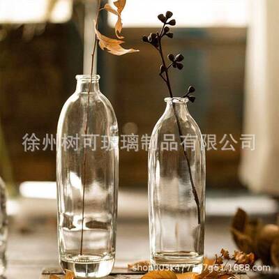 Transparent glass small vase living room flower arrangement