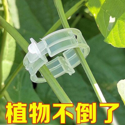 Plant clips for securing vines and seedlings, including vine