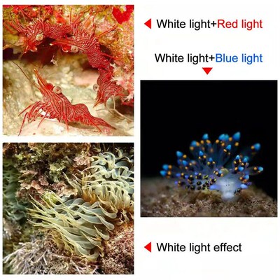 Professional LED Diving Flashlight 18000LM COB Tactical Torc