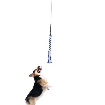 Size Dog Toy Pet Teaser Pole Premium Extendable Flirt