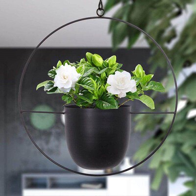 Hanging basin wrought iron hanging hydroponic plant hanging