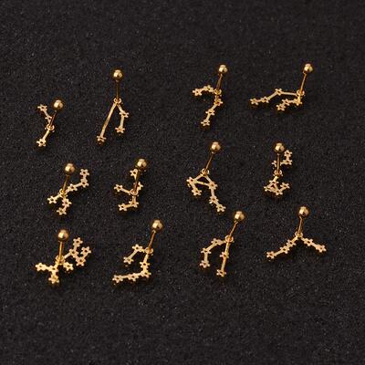 New Stainless Steel Twelve Constellation Ear Piercing Jewelr