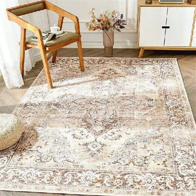 Persian Vintage Carpet Living Room Washable Thin Home Floor