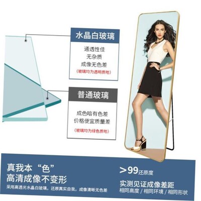 metal frame rack full-body mirror wall mirrow Bedroom mirror