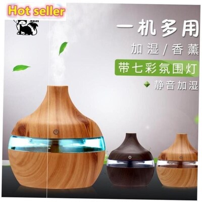 Essential oil diffuser香薰器air humidifier 加湿器 小型 min