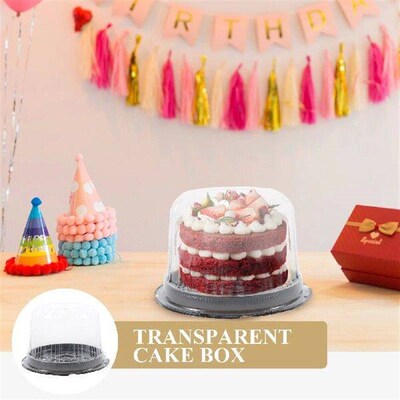 20 Pcs Packing Box Cake Cheesecake Cold Shipping Boxes