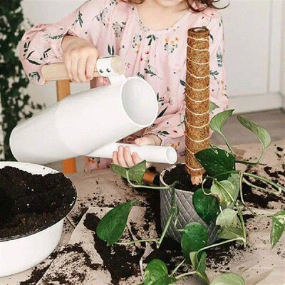 Plant Vine Traction Climbing t Natural Coconut Palm Rod