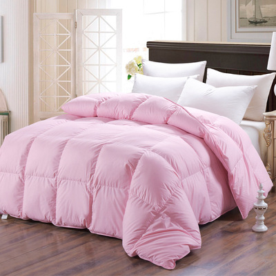 Down Duvet with Cotton Fabric Warm Quilt Comforter Blanket