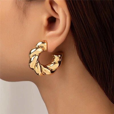 rendy Circle Twists Hoop Earring for Women Simple Temperamen