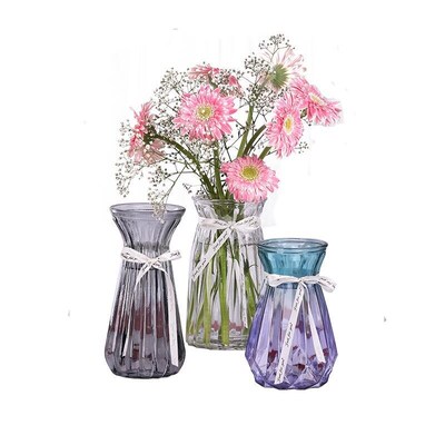 Transparent glass vase Nordic dried flower arranging flowers