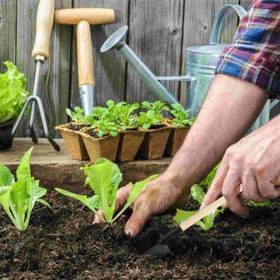 Garden Tool Set Watering Pots Small Mini Plant Planting