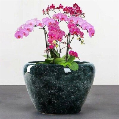 Ceramic Flowerpot Large Circular Opening Planter Pot