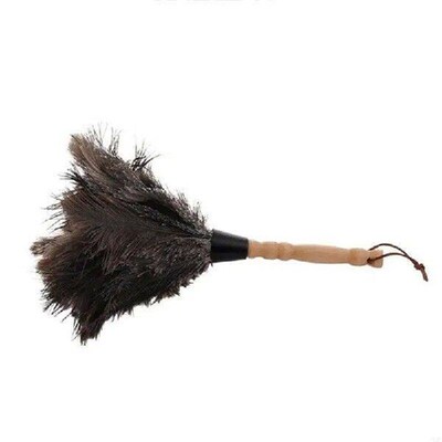 P82C Reusable Natural Ostrich Duster with Wooden Handle for