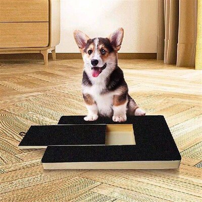 Dog Nail Scraper Can Be Pulled Out To Repair Nail File