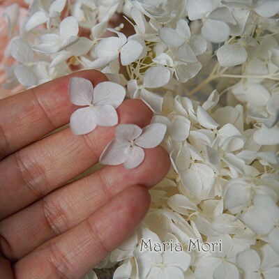 Colorful Preserved Hydrangea Home Decoration Wedding Decorat